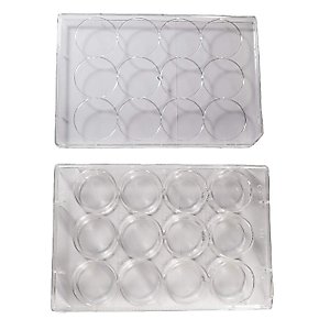 ADVANGENE 12 Well Treated Sterile Flat Tissue Culture Plate (50/Case)
