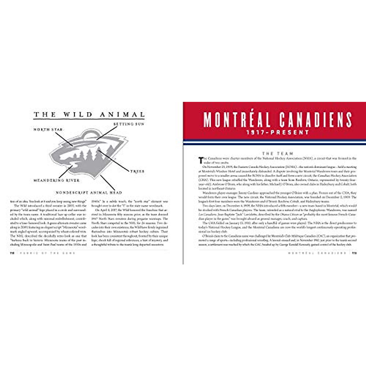 Fabric of the Game: The Stories Behind the NHL's Names, Logos, and Uniforms