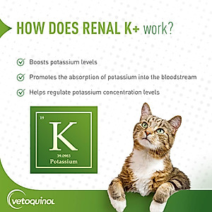 Vetoquinol Renal K+ (Potassium Gluconate) Potassium Supplement Gel for Dogs and Cats, 5oz