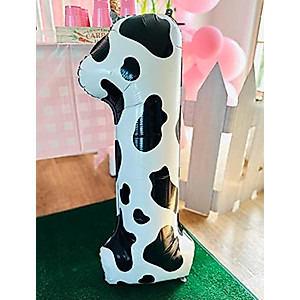 Cow Print Number 2 Birthday Balloon for 2 Year Old Cowgirl