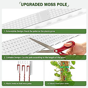 Gardzizy Plastic Moss Pole 6 Pcs 24 Inch Moss Poles for Plants Monstera Climbing Plants, Plant Support for Indoor Plants Work with Sphagnum Moss (6 Pack)