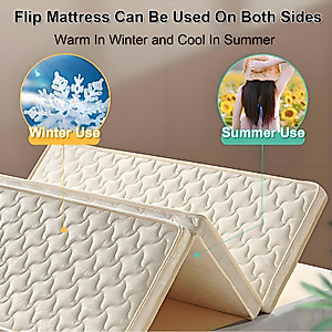 Enchantia Coconut Coir Mattress Queen, Natural 3E Palm Firm Mattress, Seamless Foldable Mattress Deep Sleep, Spine-Friendly for Those Who Like Hard Mattress, 2in,King