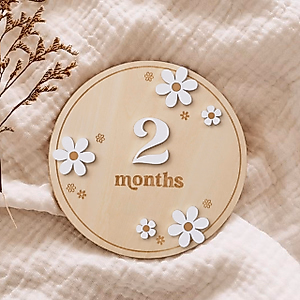 Wooden Boho Daisy Flower Milestone Cards - 1-12 Months Interchangeable Milestone Card Decor,Baby Party Photo Prop，Full Moon Background Decoration Props. (2-12 Months Daisy Flower Milestone Cards)