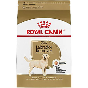 Royal Canin Labrador Retriever Adult Dry Dog Food, 30 lb bag