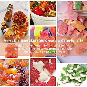 Gummy Bear Molds Silicone 32PCS, Non-stick Chocolate Candy Mold 18 Shapes for 327 Candies, With 4 Droppers, Clean Brush, Storage Box, 20 Wrappers, Including Dinosaur Mini Donut Fruit Animals Shaped