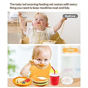 Baby Led Weaning Supplies, Silicone Feeding Set for Baby, Toddler Plates and Bowls Set with Suction, Baby Utensils Set with Adjustable Bib, Sippy Cup,Spoon and Fork, 6+ Months