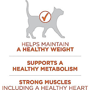 Purina ONE High Protein, Healthy Weight Dry Cat Food, +Plus Ideal Weight With Turkey - 3.5 lb. Bag