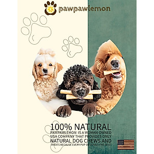 pawpawlemon Bully Sticks for Dogs (6 inch Pack of 20) | Long Lasting Natural Dog Chew | Single Ingredient 100% Beef Pizzle | Packed in The USA | Standard Thickness