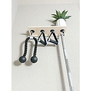 Bush Acres Dezirae- 18" Smart Gym Organizer - 4 Flush T Lock Clips - Includes Shelf - Compatible w Tonal TLock Accessories