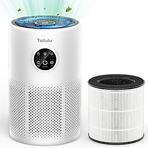 Air Purifier Filter for Tailulu D10 Air Purifier, 3-in-1 H13 Grade True HEPA Replacement Filte, D10 Replacement Filter 1 Pack