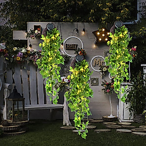 2 Pack Solar Watering Can Lights Garden Decor, Waterproof Solar Fairy Lights Hanging Solar Lantern Lights for Patio, Landscape, Pathway, Flower Bed, Gardening Gifts - 8 Modes (Lvy)