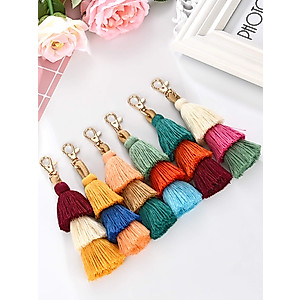 Tatuo 6 Pieces Hand Made Colorful Bohemian Tassel Charm Keychain Handbags Bag Pendant Key Ring Pom Tassels Key Chain（Color Set 1）