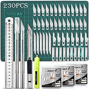 230 PCS Hobby Craft Knife Kit,215 PCS Precision Carving Blades with 2 PCS Craft Knife, Utility Knife with 11 PCS Art Blades, Scrapbooking Stencil for DIY Art Working Cutting