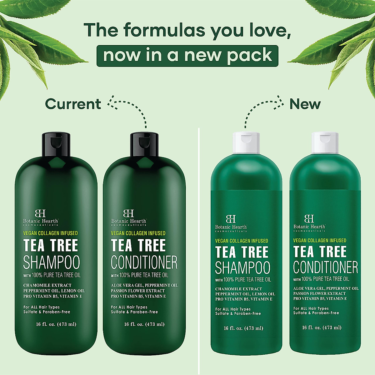Botanic Hearth Vegan Collagen Infused Tea Tree Shampoo and Conditioner Set, 16 fl oz each - Sulfate Free, Paraben Free - For Itchy and Dry Scalp - Men and Women