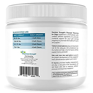 Nutrition Strength Prenatal Vitamins for Dogs to Support Development of Healthy Puppies, Promote Milk Production, with Folic Acid, Iron, Zinc, Iodine, B Vitamins for Pregnant Dogs, 90 Soft Chews