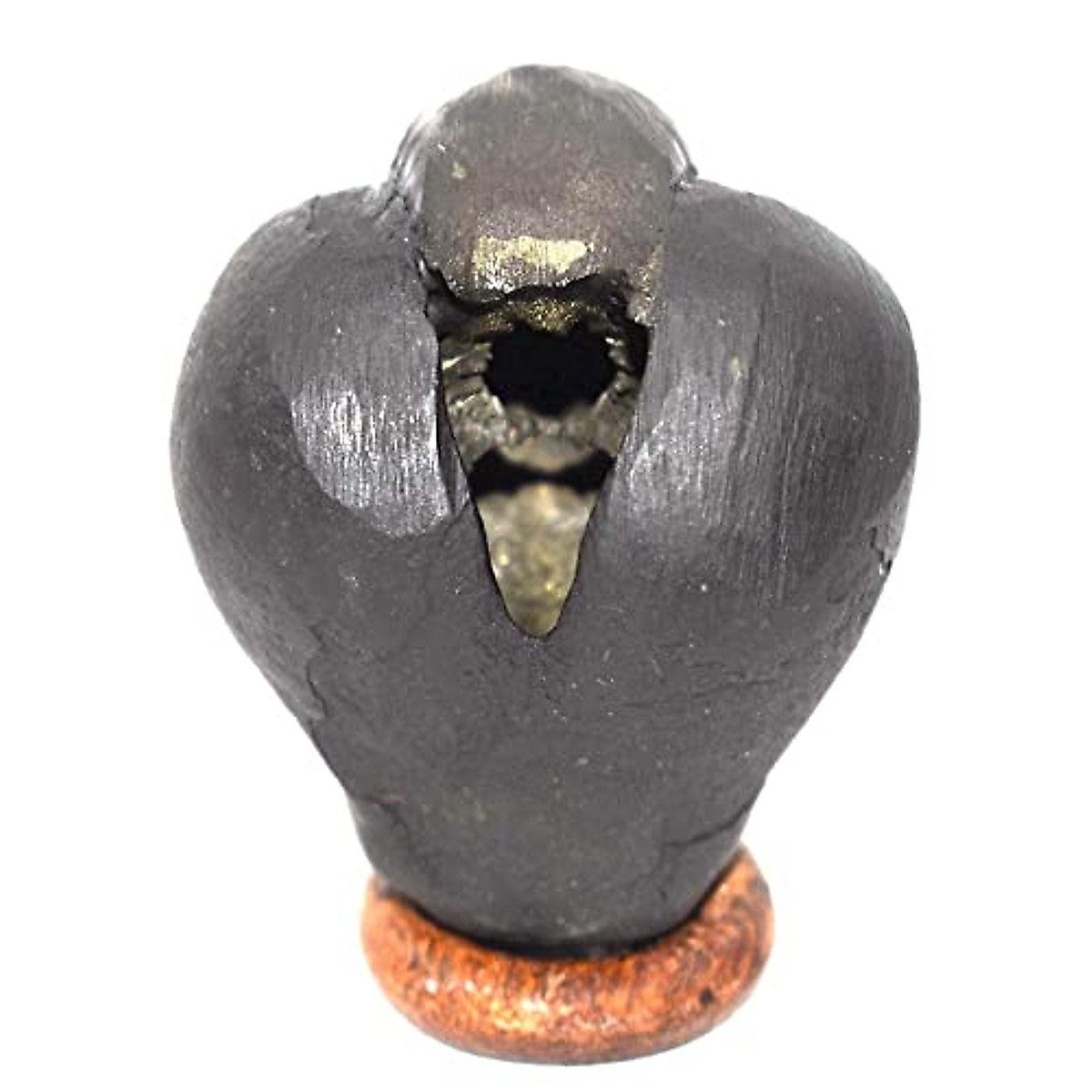 Dhumavati Shaligram/Adwaitya Golden Dhumavati Dasha MahaVidya Shaligram, Fossil, Fossil