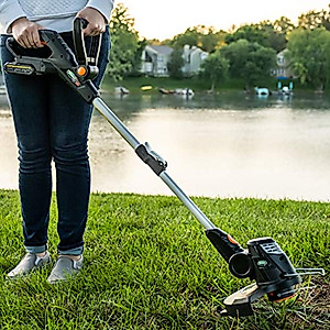Scotts LST02012S 20-Volt 12-Inch Cordless String Trimmer, 2.0Ah Battery and Fast Charger Included