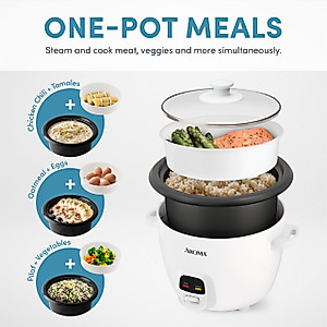 AROMA® 20-Cup (Cooked) One-Touch Rice Cooker and Food Steamer with Auto-Warm | 10 cups uncooked, 20 cups cooked (ARC-390NGP)
