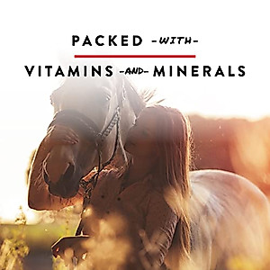 Manna Pro Apple Wafers – Treats for Horses – Packed with Vitamins & Minerals – Apple Flavored Horse Treats – 20 Pounds