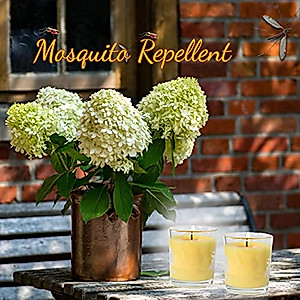 CandleNScent Citronella Scented Votive Candles in Glass | Up to 20 Hour Burn Time (Pack of 8)