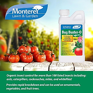 Monterey Bug Buster-O Organic Insecticide for use on Garden Plants, 1 Pint
