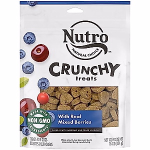 NUTRO Crunchy Dog Treats with Real Mixed Berries, 16 oz. Bag