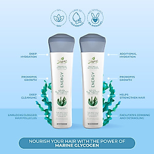 Naissant Energy Treatment Shampoo | Hair Growth Accelerator, Strengthener for Color Treated & Natural Hair | Enriched with Marine Glycogen & Natural Extracts to Prevent Hair Loss (10.1 Fl Oz)