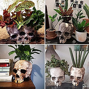 BEFOKA Resin Skull Planter, Gothic Retro Skull Head Flower Succulents Pot, Outdoor Indoor Garden Planter, Gothic Statue Sculpture Skeleton Decor (A)