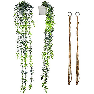 Oxsaytee 2 Pack Fake Hanging Plants with 2 Pcs Plant Hangers Fake Potted Plants for Wall House Home Office Room Patio Indoor Outdoor Aesthetic Decor