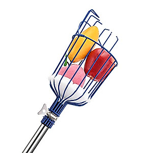 OAK LEAF Fruit Picker, 13 Foot Fruit Picker Pole with Basket Apple Orange Picker Tool Tree Fruit Catcher with Lightweight Stainless Steel Connecting Pole, Sturdy Basket with Foam Pad, Metal Clamp