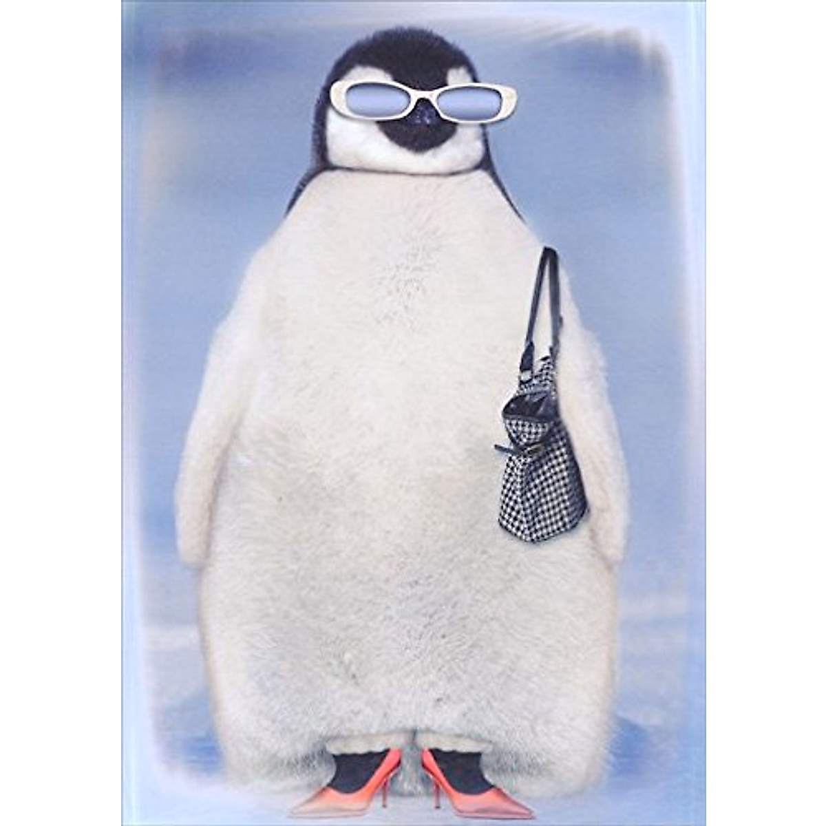 Coolest Chick - Recycled Paper Greetings Birthday Card