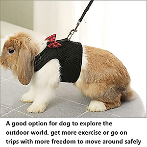 Mipcase 1 Set Harness Rope Breathable of Supplies Guinea Chinchilla Type Training M Pet Walking Animal Harnesses Puppy Straps Cat Chest Back Leash Squirrel Rabbit Strap Small for Outdoor