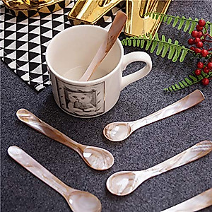 DUEBEL Set of 6 Mother of Pearl 3.55′′ Caviar Spoons for Caviar Serving or Egg Serving