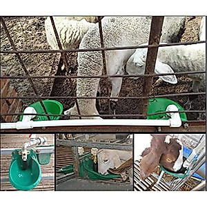 Yougoo Automatic Waterer Bowl Goats Waterer Sheep Drinking Water Bowl Livestock Drinker Bowl for Piglet Cattle Dog, Green