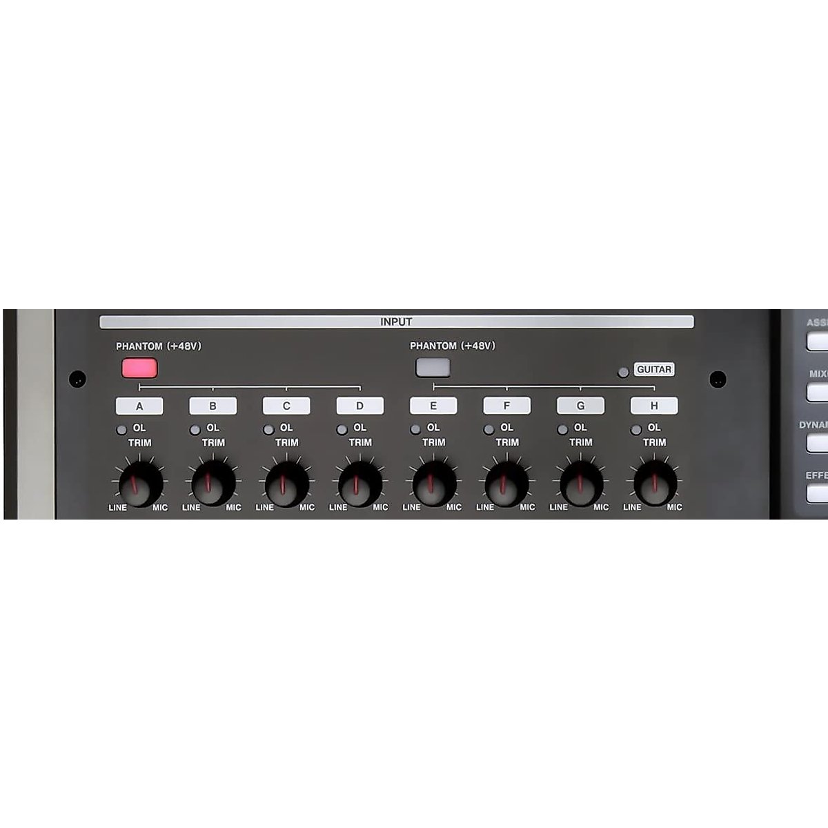 Tascam DP-24SD 24-Track Digital Portastudio Multi-Track Audio Recorder with Pro Headphone and Pair of EMB XLR Cables and Gravity Magnet Phone Holder Bundle