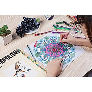 Gel Pens, Reaeon 200 Pack Pen with Case for Adult Coloring Books, 100 Color Markers Plus 100 Refills for Drawing Painting Writing.