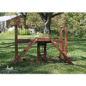 Coops & Feathers Chicken Activity Center-Play, Swing, & Roost-Includes Treat Basket (Small)