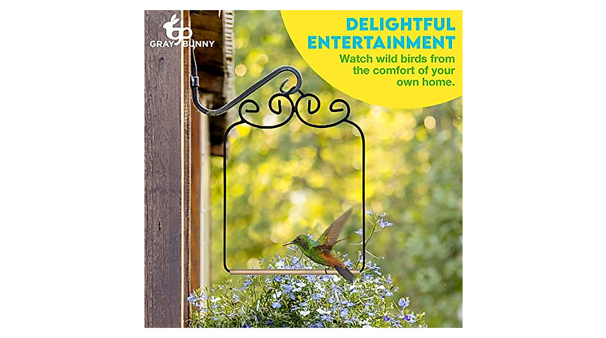 Premium Hummingbird Swing - Rust-Resistant Metal & Wooden Perch