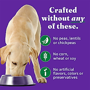 Halo Elevate Wet Dog Food, Grain Free, Smoky BBQ Shredded Chicken Stew w/Sweet Potatoes & Green Beans, 12.7oz (Pack of 6)