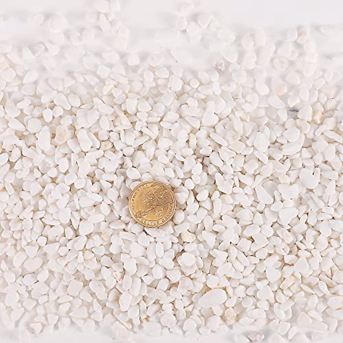 Mini White Rocks Stone Decorative Pebbles Vase Fillers Succulents Cactus Bonsai DIY Plant Rock Garden Outdoor Indoor Gravel for Aquarium, Fish Tank, Terrarium, Fairy Gardening, Top Dressing 5-lbs