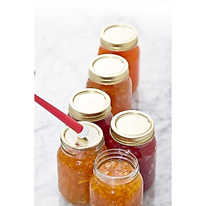 Prepworks by Progressive Magnetic Lid Lifter for Canning