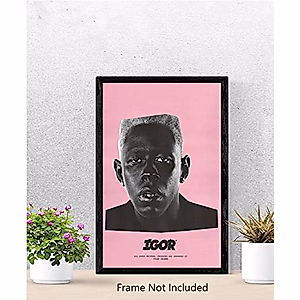 Tyler, The Creator Album - Igor Wall Decor Poster 12x18"