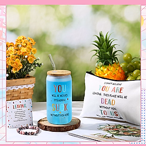 Skylety Farewell Gifts Set Going Away Gift for Coworker New Job Gifts for Women Lucky Goodbye Leaving Job Gifts for Coworker Lady Manager Employee Retirement Christmas (Leaving)