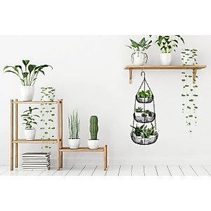 CAXXA 3-Tier Hanging Basket Fruit Organizer Kitchen Heavy Duty Wire Organizer with 2 Free Bonus Metal Ceiling Hooks, Black