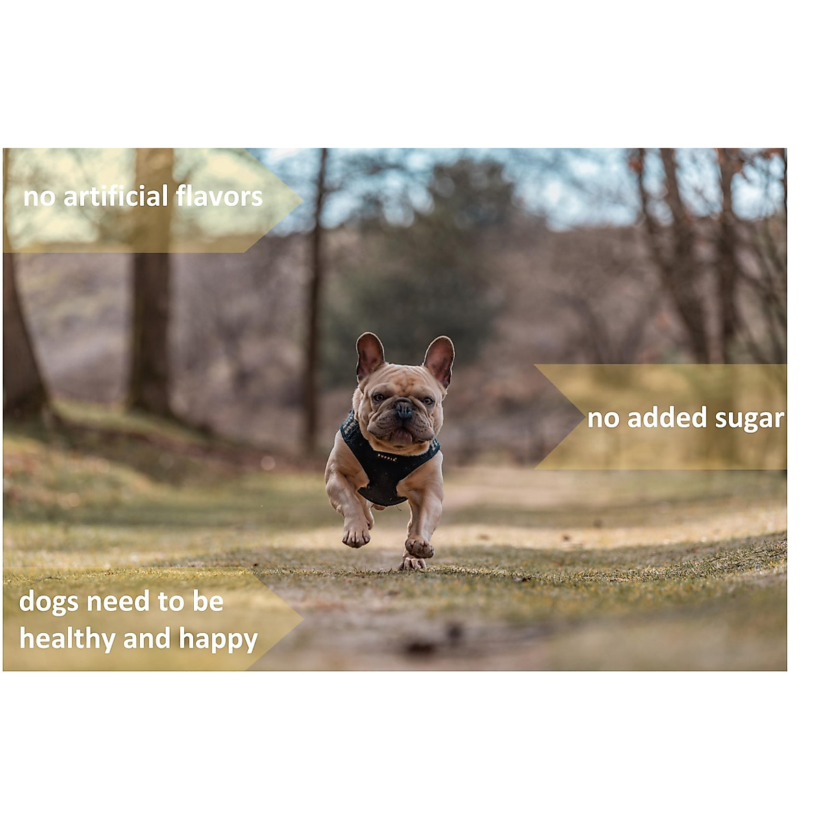 ILC Buy Small Dog Dry Food Bundle | Includes 1 Bag of Dry Adult Small Breed Chicken, Rice & Vegetables Flavor (3.5 LB)| Plus Carrot Dog Toy and a Booklet