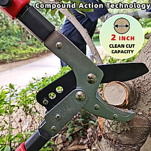 YRTSH Loppers Branch Cutter Tree Trimmer Extendable Lopper with Compound Action, Chop Thick Branches Effortlessly, 28"-41" Telescopic Heavy Duty Tree Clippers with 2 Inch Clean Cut Capacity