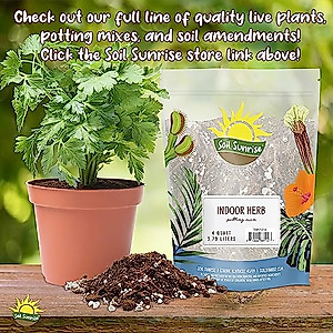 African Violet Potting Soil Mix (8 Quarts), Custom Hand Blended Soil Additive for Indoor Plants