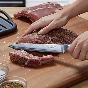 Sasaki Masuta Japanese AUS-10 Stainless Steel Slicing Knife with Locking Sheath, 8-Inch, Black
