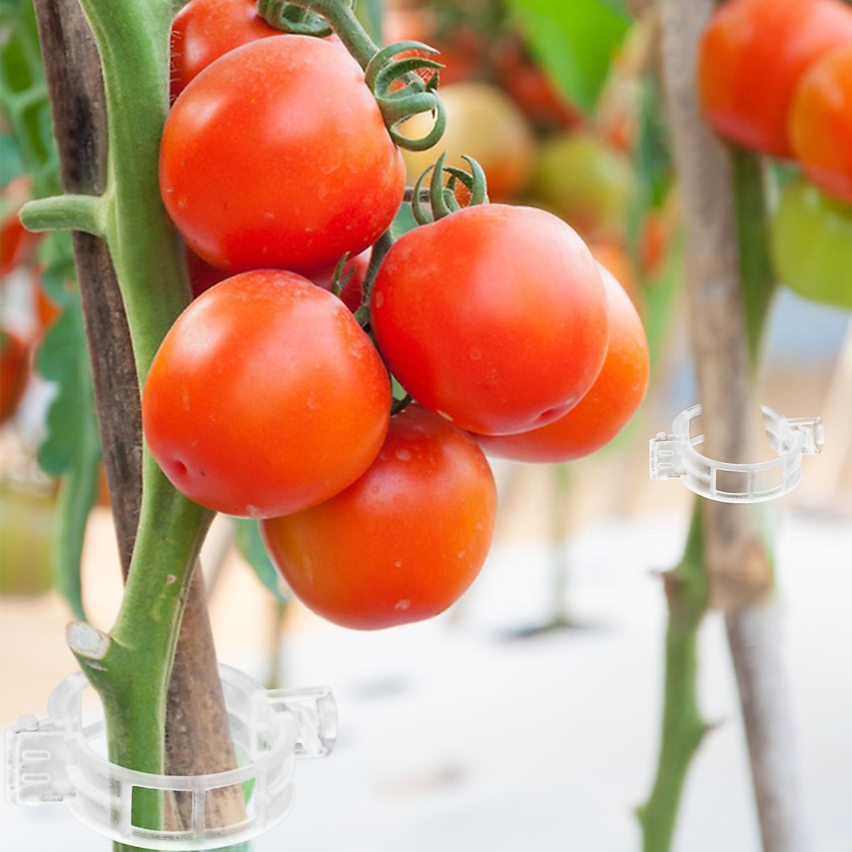 200 PCS Plant Support Clips, Tomato Clips, Plastic Trellis Clips, Grape Vine Tomato Vine Fixing Clip, Garden Clips for Plant Vine Vegetables to Grow Upright and Healthier