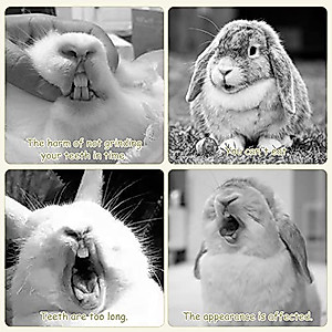 Hamiledyi Natural Timothy Hay Blocks 3.31 Ib Rabbit Chew Grass Brick Toy Guinea Pig Hay Cake Rabbit Hamster Chinchilla Squirrel and Other Rodents Molar Snacks